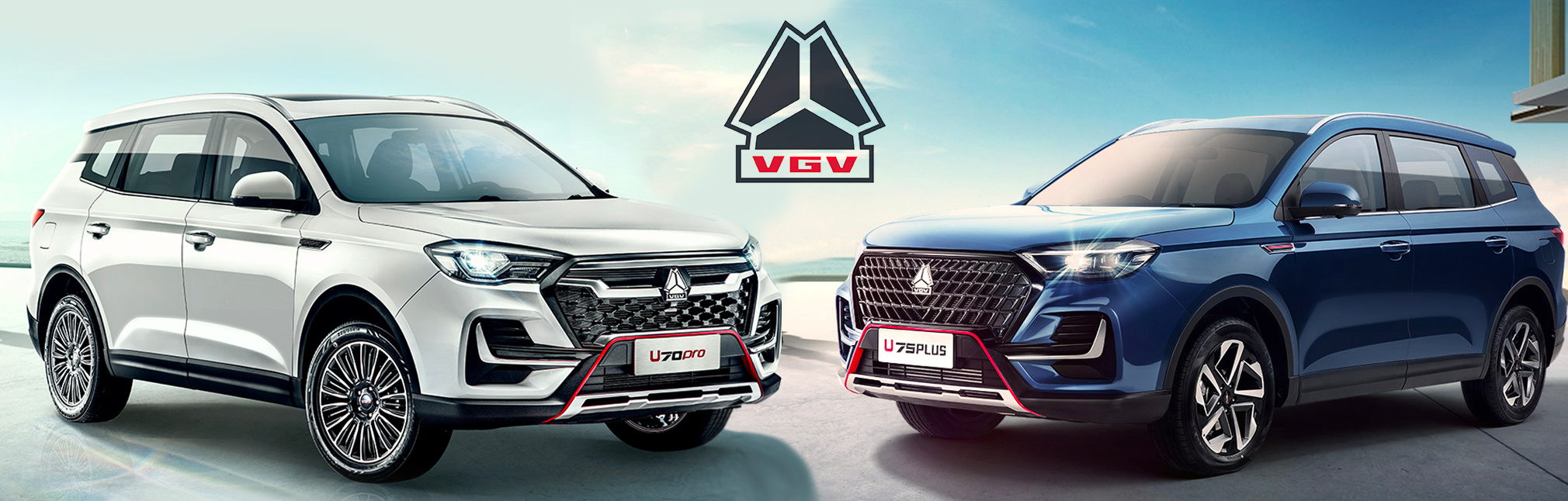 VGV Azərbaycan - avtomobil satıcısı - Turbo.Az