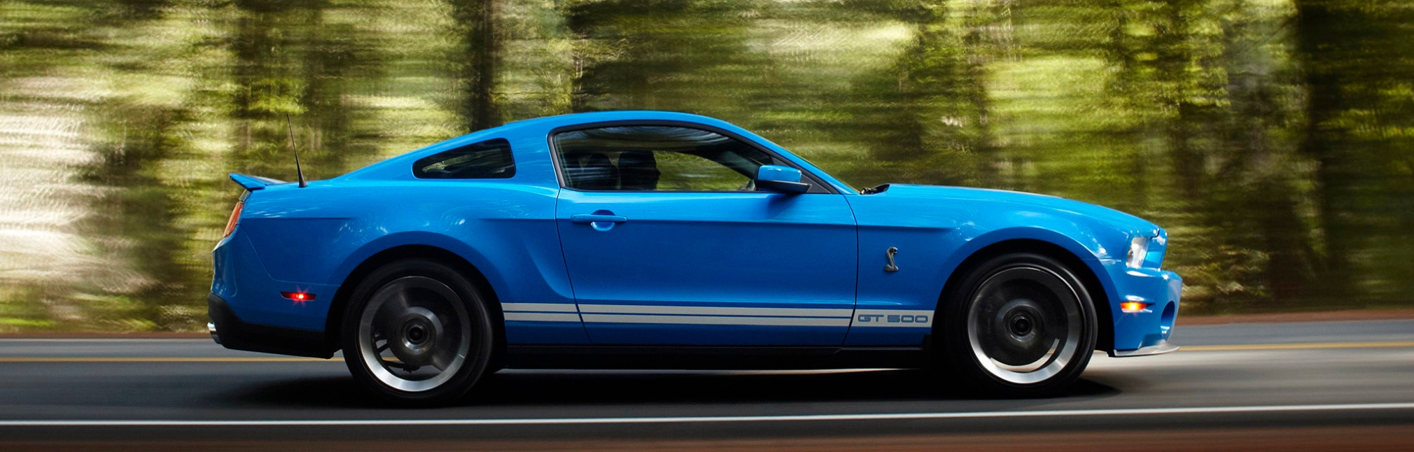 Mustang Auto - avtomobil satıcısı - Turbo.Az