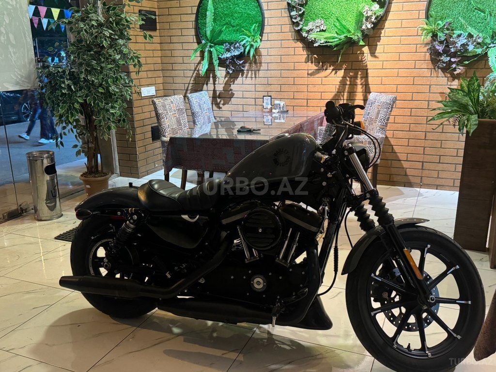 Купить Harley-Davidson XL883N Sportster Iron 883, 900 см 3 , 2022 год ...